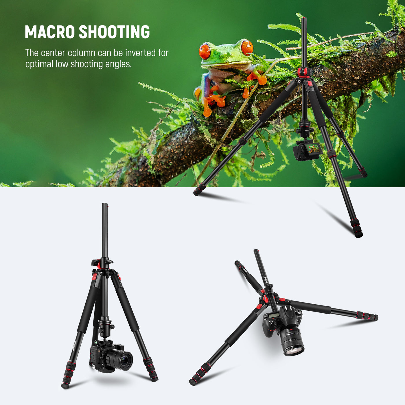 Professional Tripods | Up to 50% Off | Photographic Tripods | NEEWER