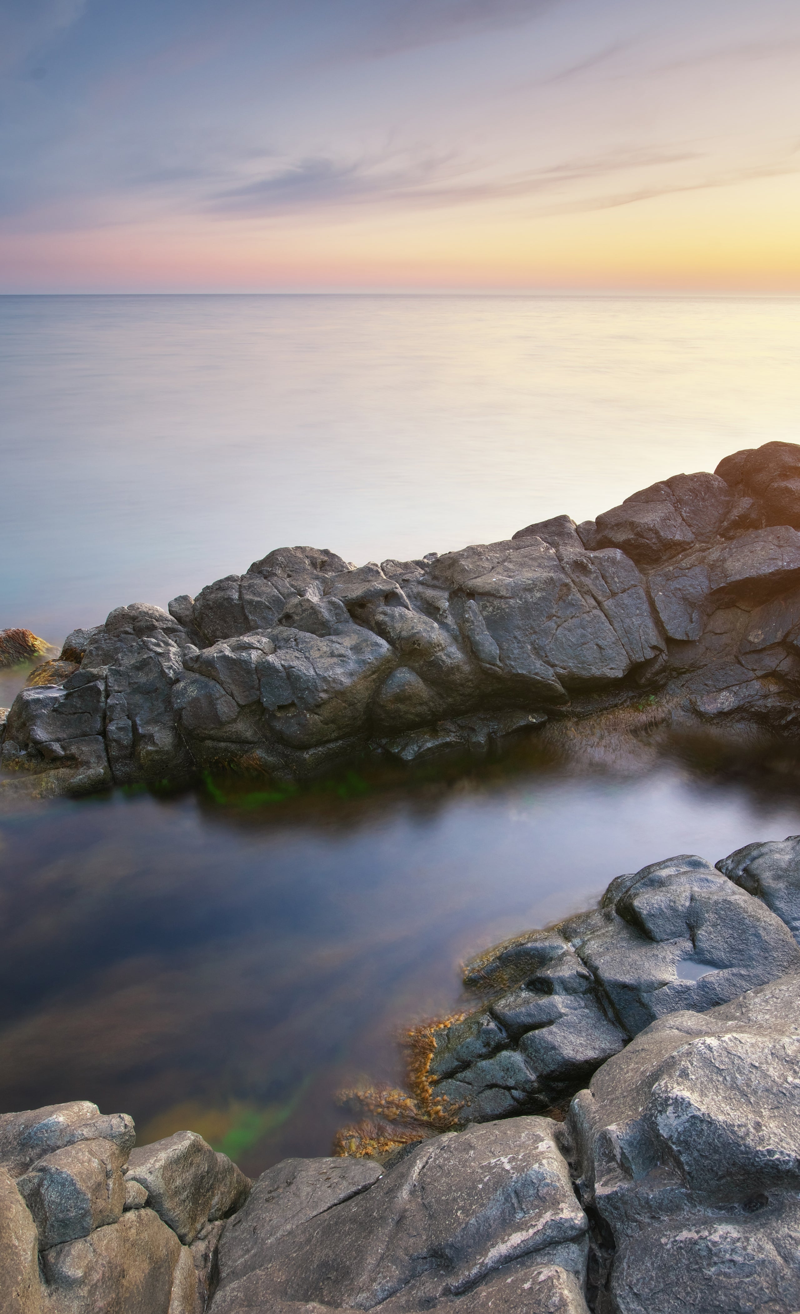 Phone Filter | Phone Lens Attachment - NEEWER