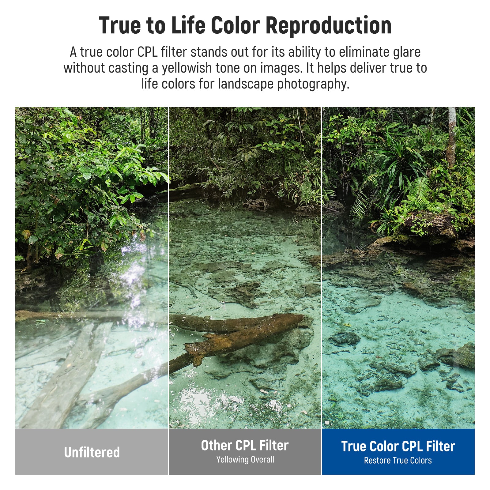 NEEWER True Color CPL Filter - NEEWER – neewer.com